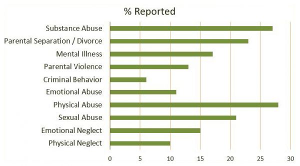 The ACE Study - Pinetree Institute