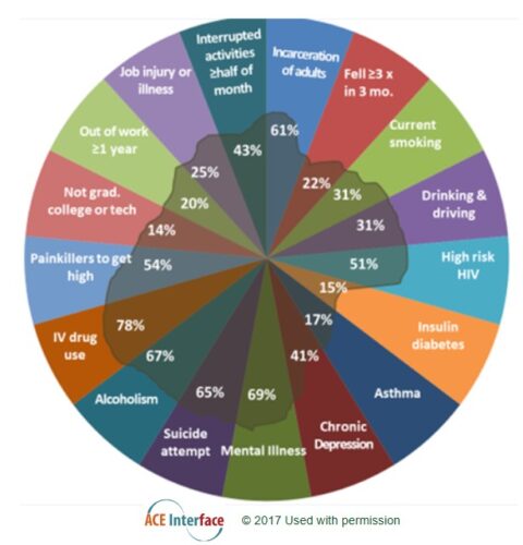 The ACE Study - Pinetree Institute