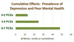 Positive Childhood Experiences (PCEs) - Pinetree Institute