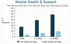Positive Childhood Experiences (PCEs) - Pinetree Institute